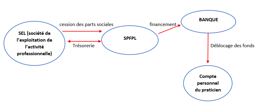 Les Holdings SPFPL et SMHF - Baris Stratégie